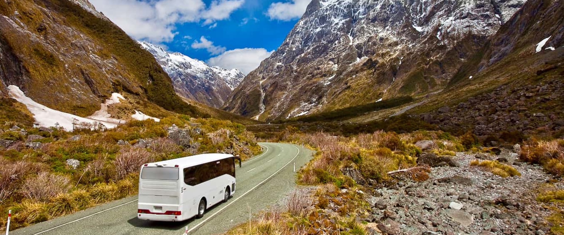 Understanding Public Transit Systems in New Zealand