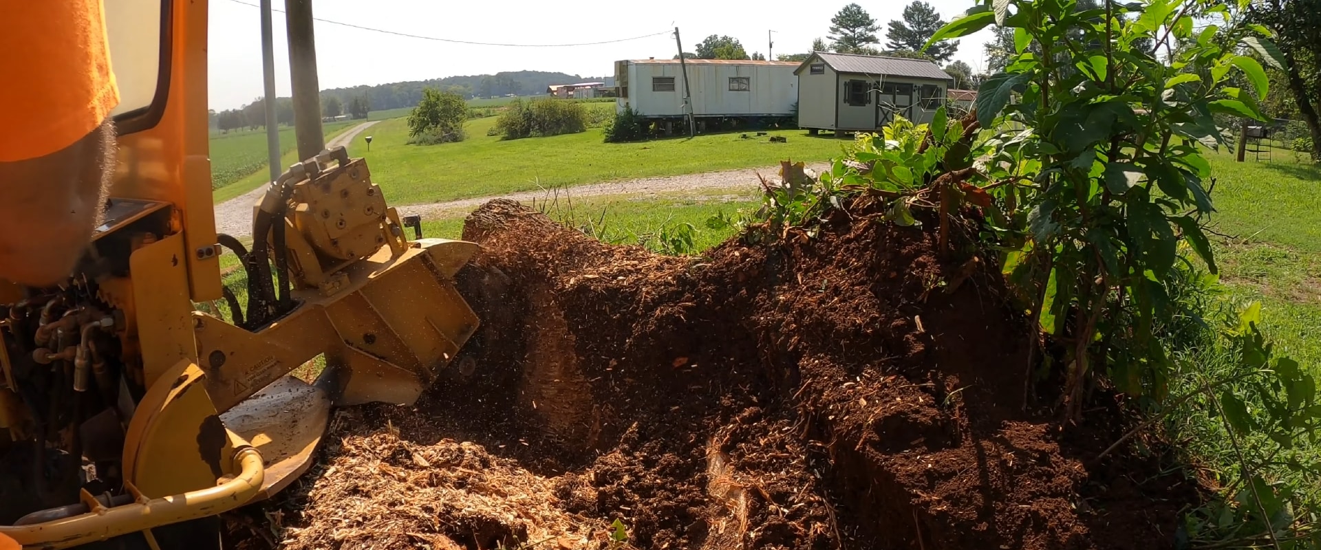 The Essential Role of an Arborist in Your Landscaping Project